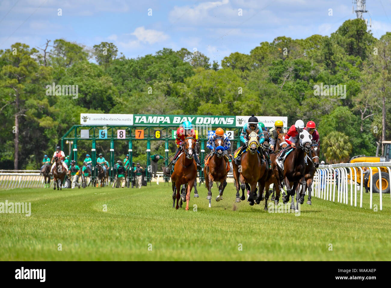 Horse race starting gate hi-res stock photography and images - Alamy