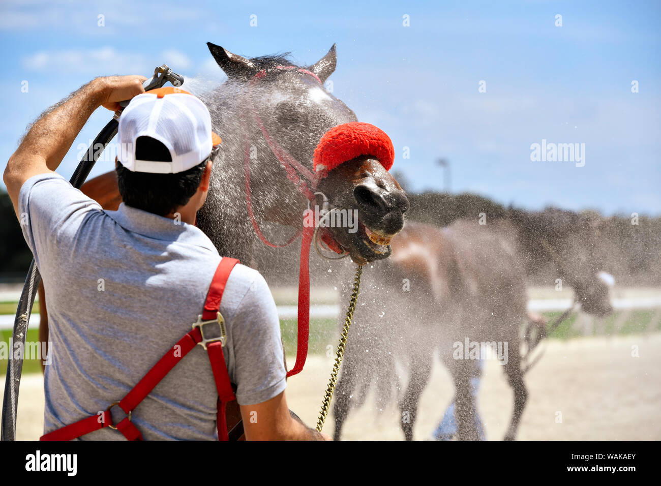 Water spray as cool down after the race Stock Photo - Alamy
