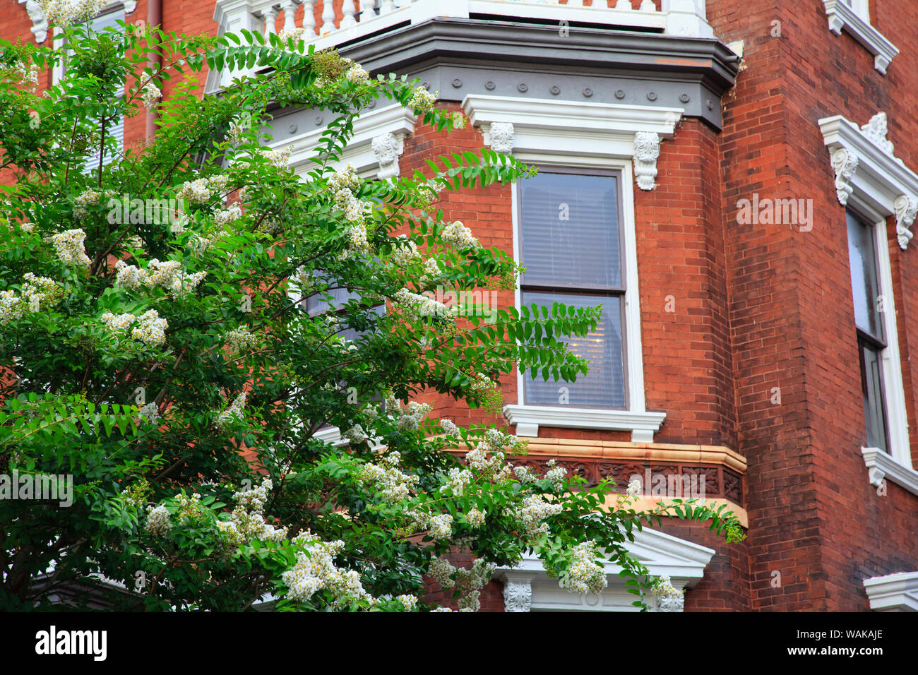 USA, Georgia, Savannah. Architectural detail on the historic Kehoe ...
