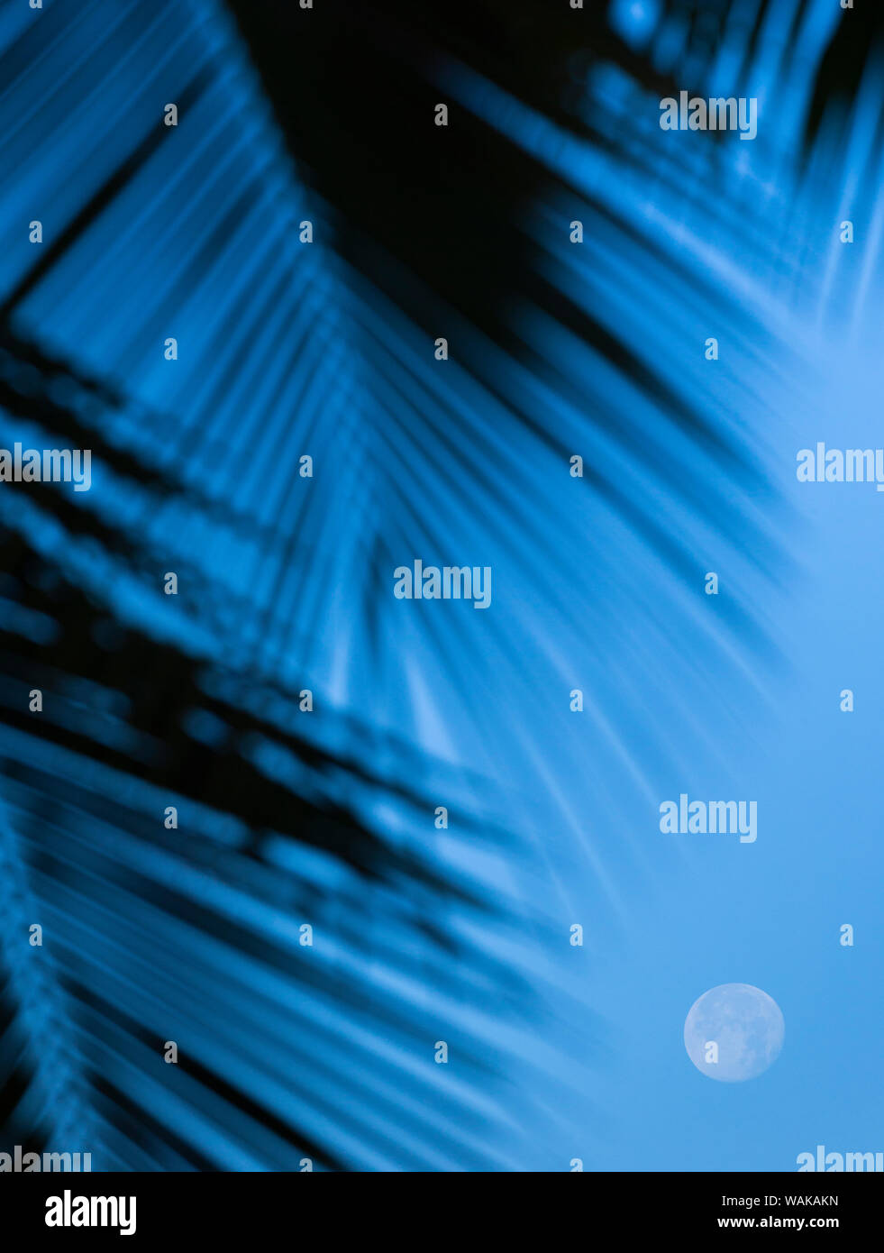 Milolii beach hi-res stock photography and images - Alamy