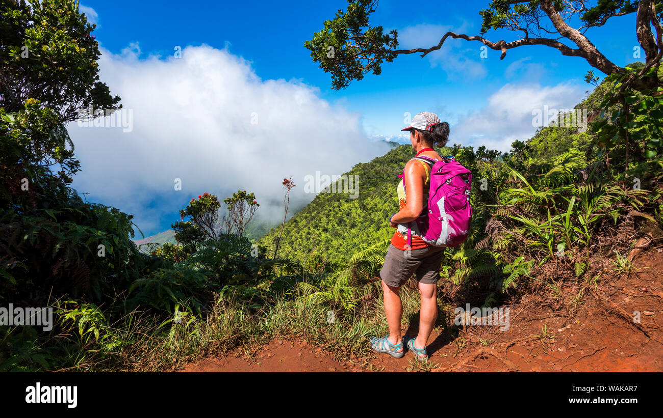Hiker on the Pihea Trail overlooking the Kalalau Valley, Kokee State ...