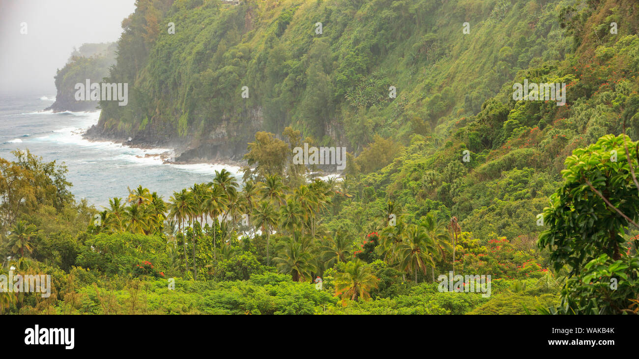 Hamakua coast hi-res stock photography and images - Alamy