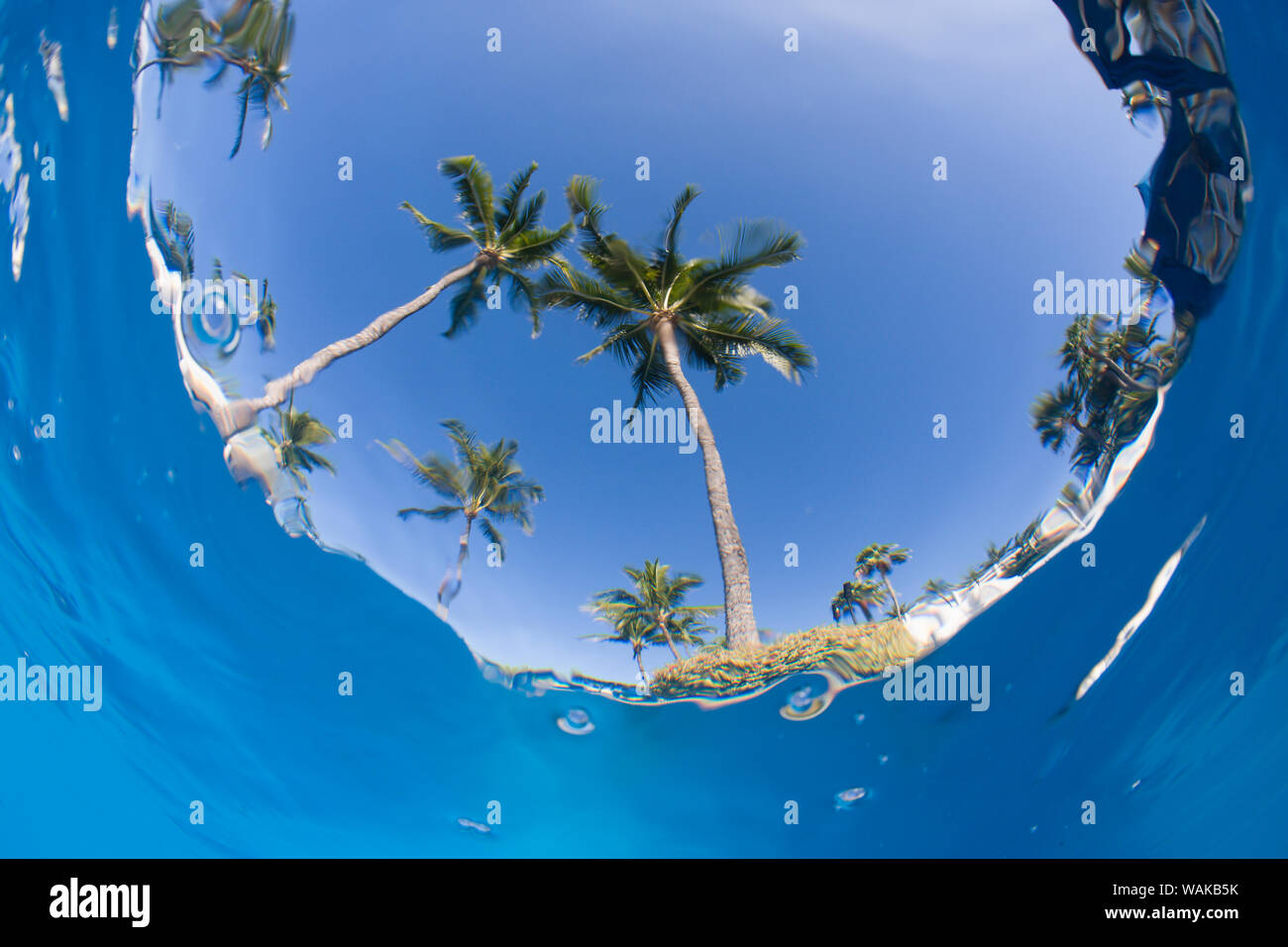 Fisheye view from swimming pool, South Maui, Hawaii, USA Stock Photo ...