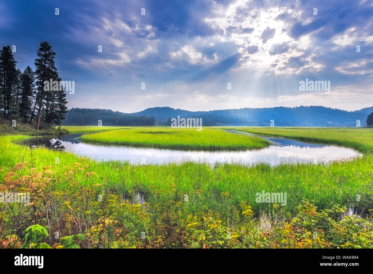 USA, Idaho. St Maries River landscape. Credit as: Jim Nilsen / Jaynes ...
