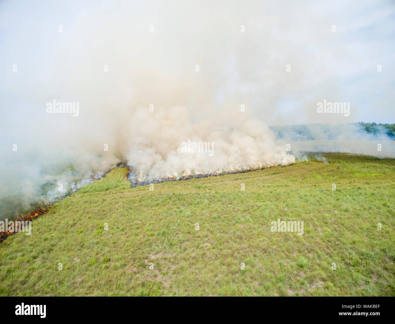 Controlled prairie burn at prairie ridge state natural area hi-res ...