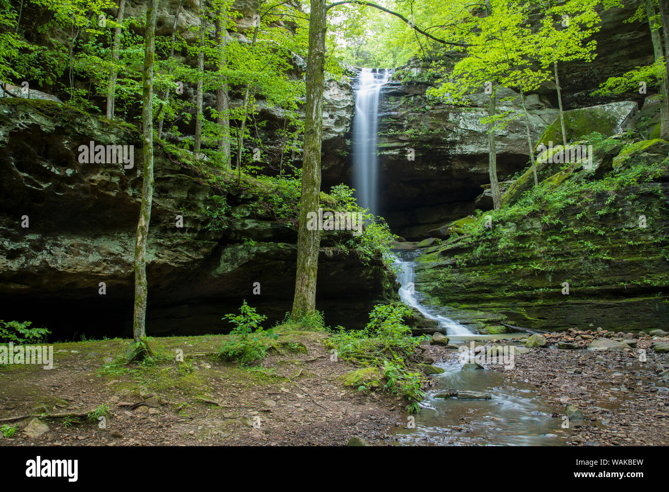Waterfall at Ferne Clyffe State Park. Johnson County, Illinois Stock ...