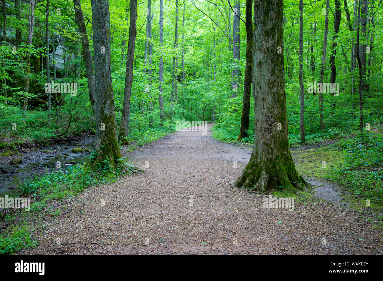 Johnson county park hi-res stock photography and images - Alamy