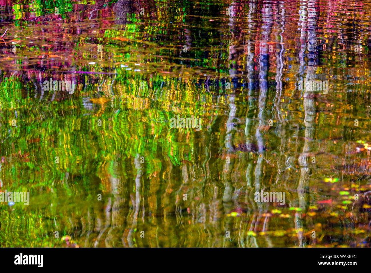 Colorful abstract reflection in lake water Stock Photo - Alamy