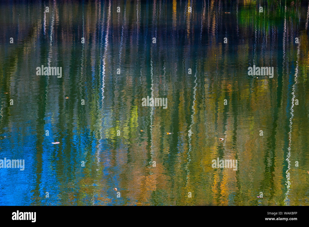Colorful abstract reflection in lake water Stock Photo - Alamy