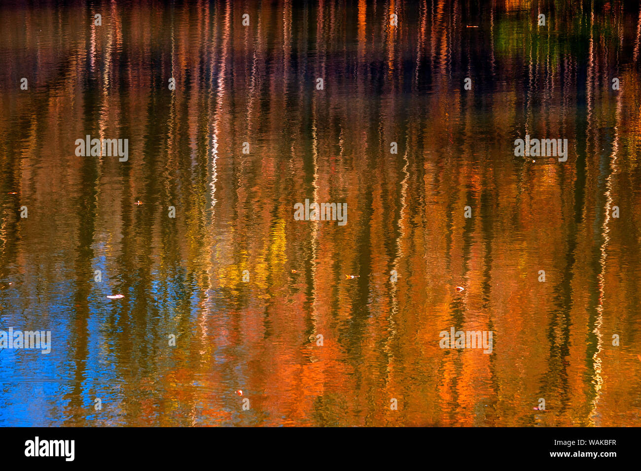 Colorful abstract reflection in lake water Stock Photo - Alamy