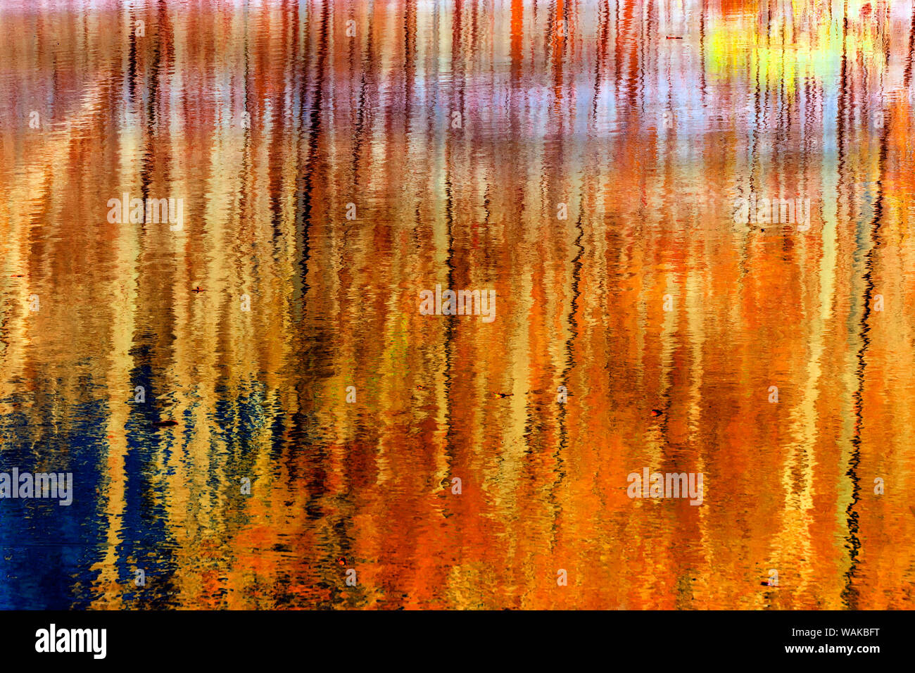 Colorful abstract reflection in lake water Stock Photo - Alamy