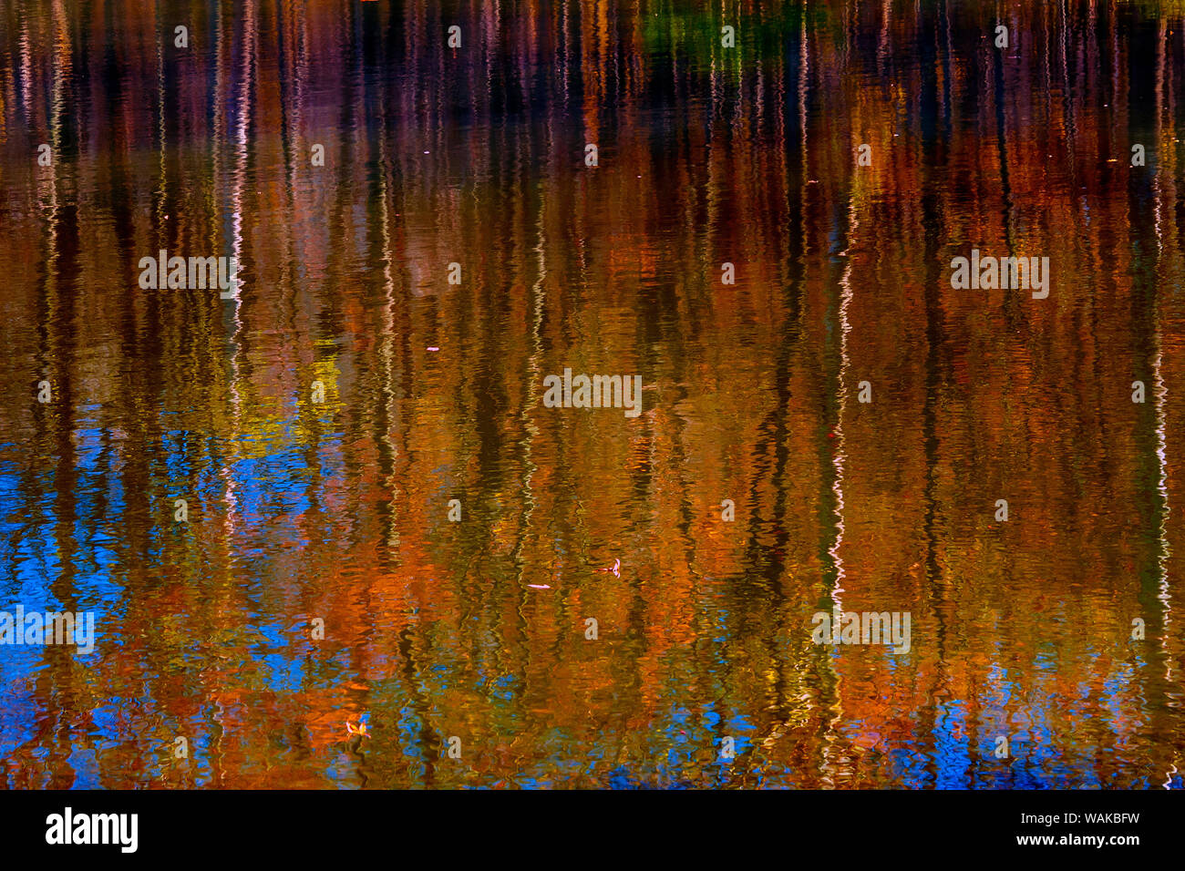 Colorful abstract reflection in lake water Stock Photo - Alamy