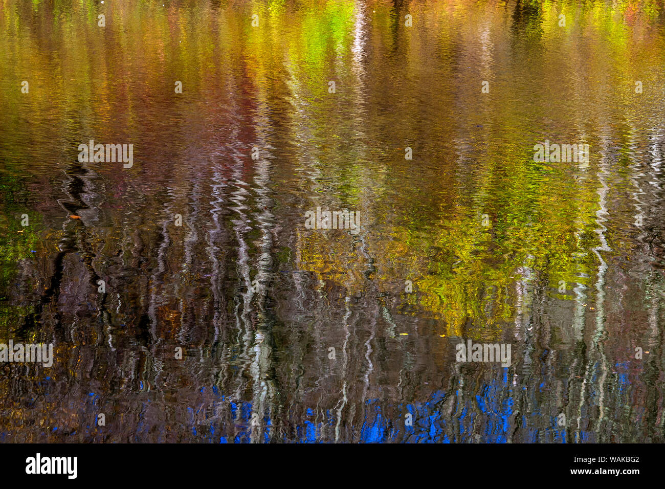 Colorful abstract reflection in lake water Stock Photo - Alamy