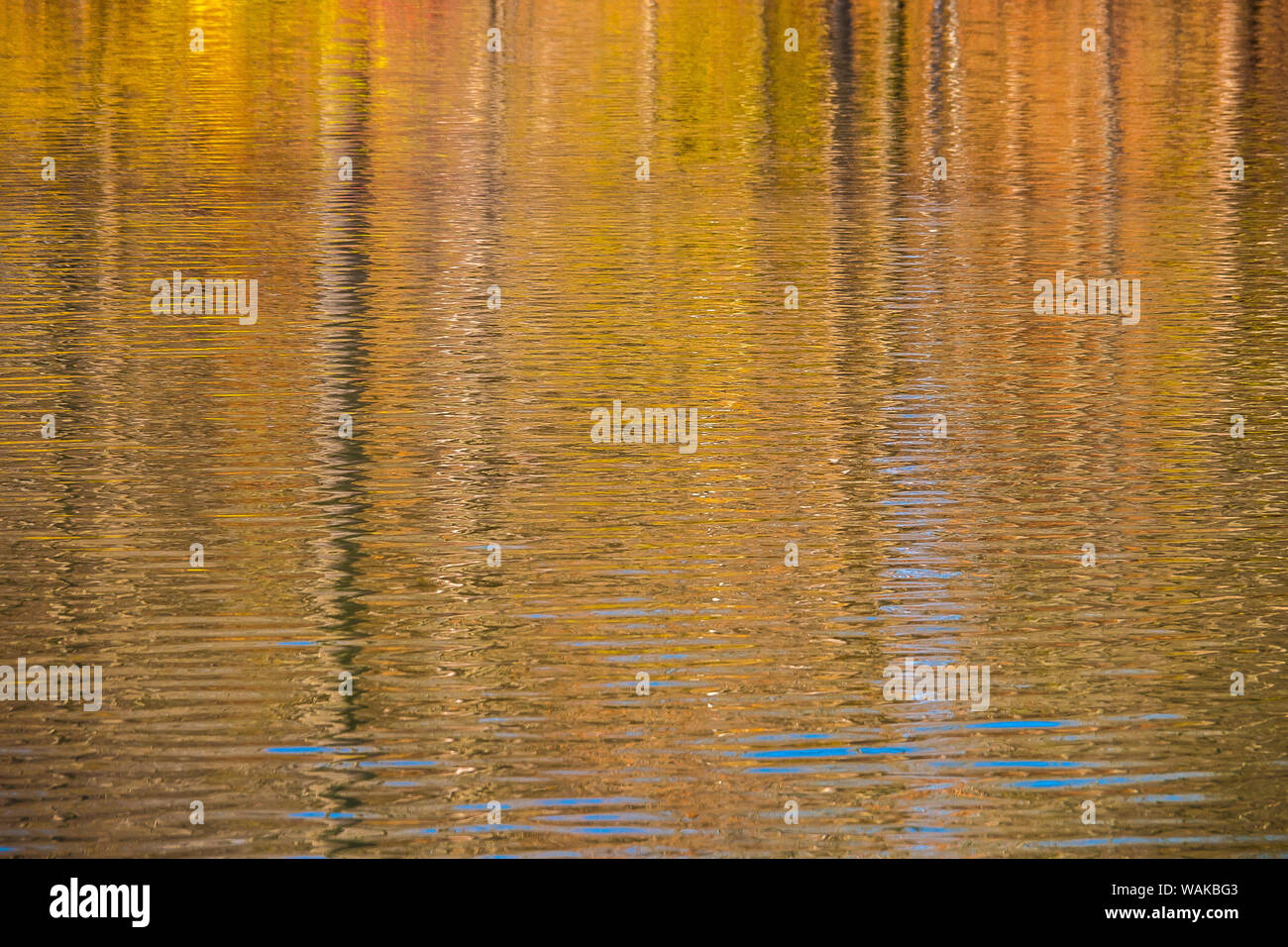 Colorful abstract reflection in lake water Stock Photo - Alamy