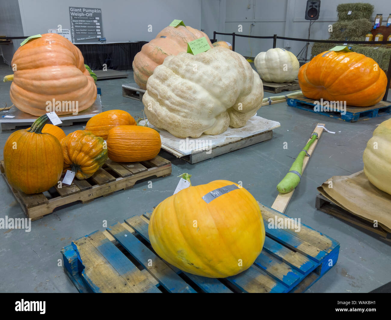 Indiana state display hi-res stock photography and images - Alamy
