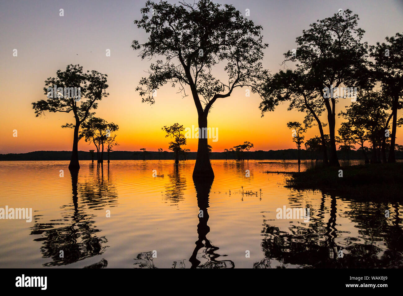 Louisiana Swamp Sunrise