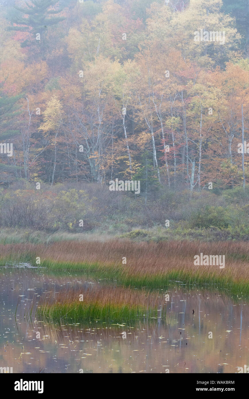 Acadia national park autumn hi-res stock photography and images - Alamy
