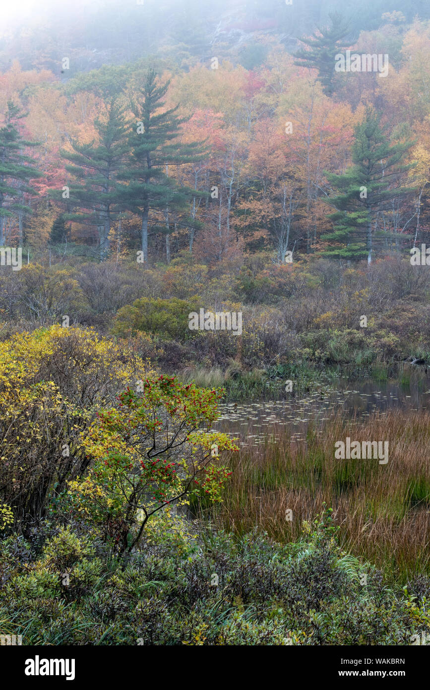 Acadia National Park Autumn High Resolution Stock Photography and ...