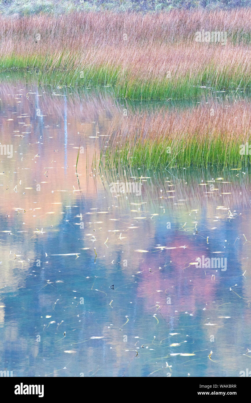 Acadia national park autumn hi-res stock photography and images - Alamy