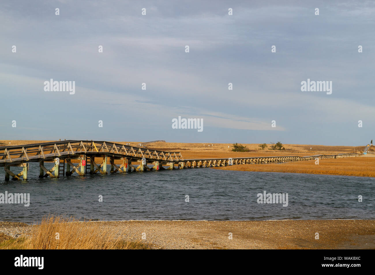 Sandwich cape cod hi-res stock photography and images - Alamy