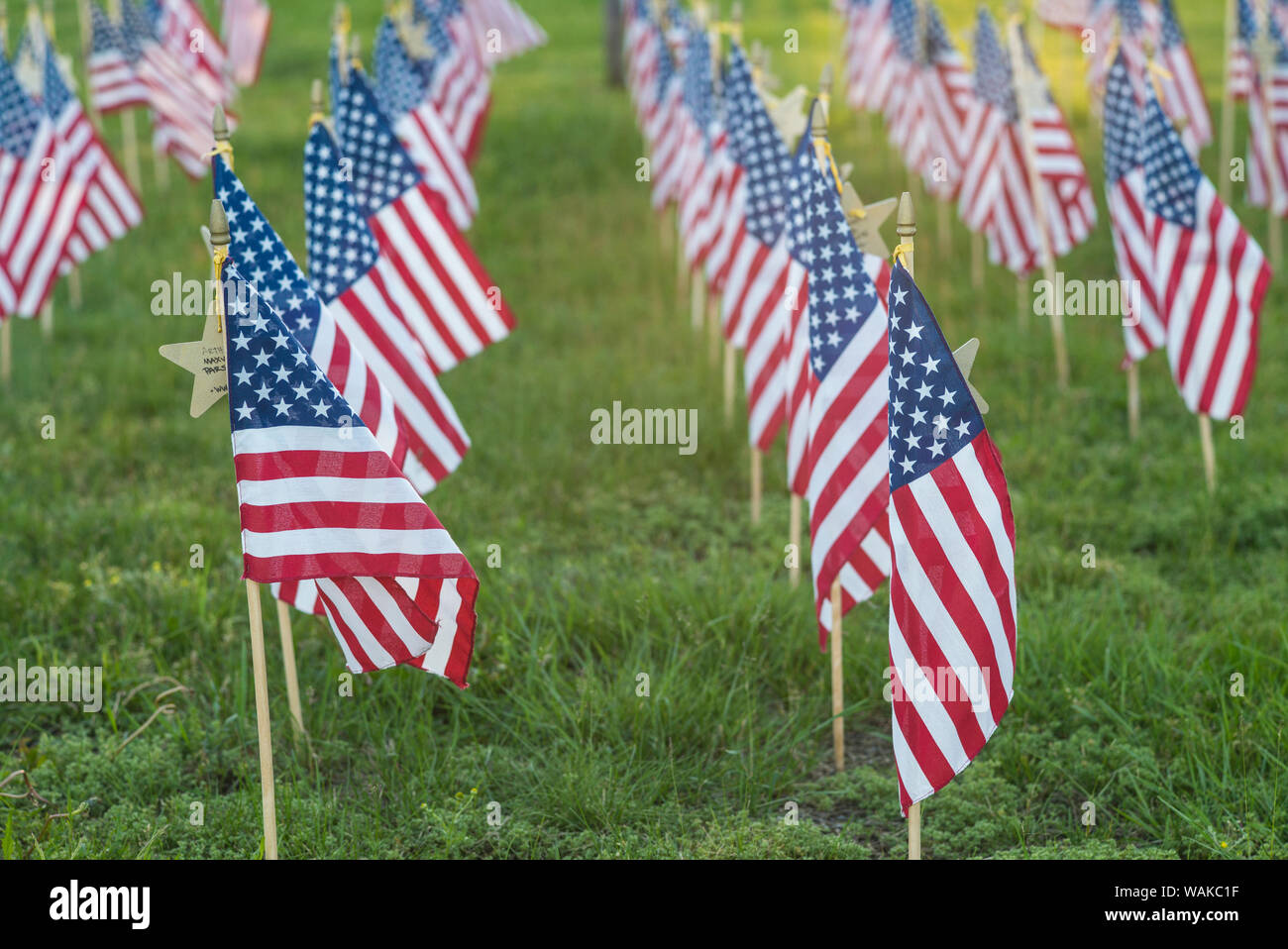 USA, Massachusetts, Cape Ann, Gloucester. US flags Stock Photo - Alamy