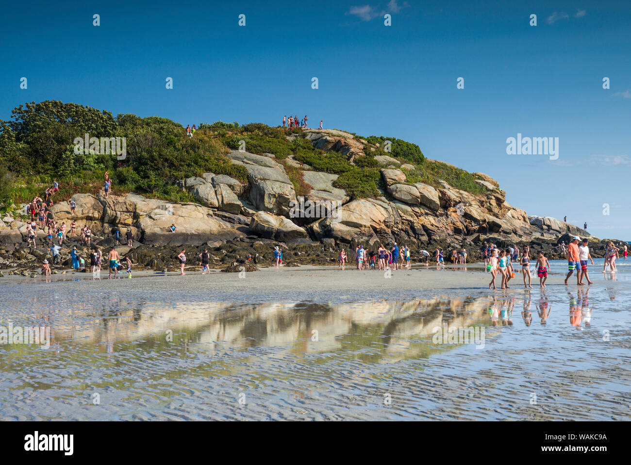 USA, Massachusetts, Cape Ann, Gloucester. Salt Island Stock Photo - Alamy