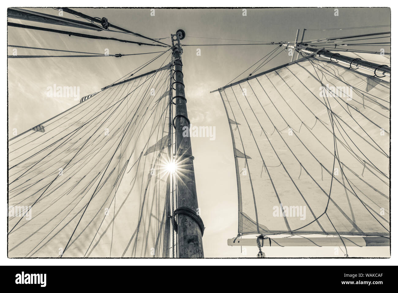Schooner sails Cut Out Stock Images & Pictures - Alamy