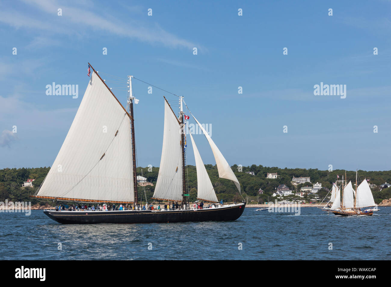 USA, Massachusetts, Cape Ann, Gloucester. Gloucester Schooner Festival ...