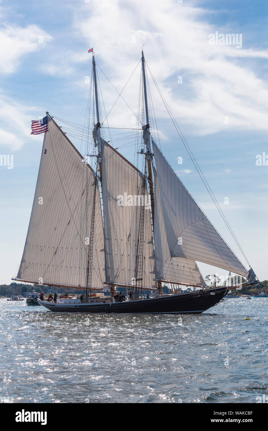 USA, Massachusetts, Cape Ann, Gloucester. Gloucester Schooner Festival ...