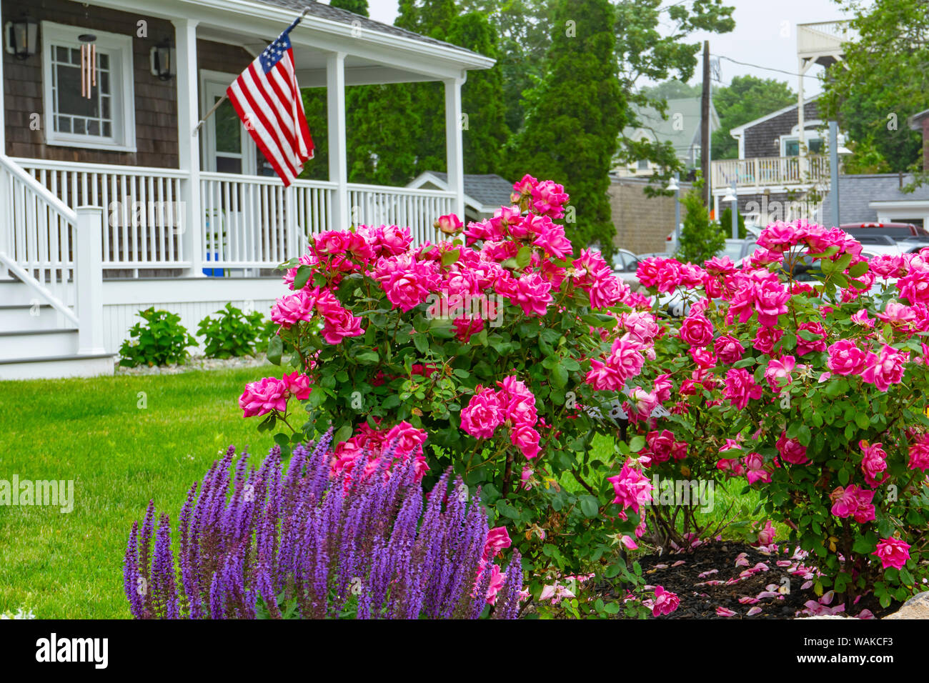 Padanaram village hi-res stock photography and images - Alamy