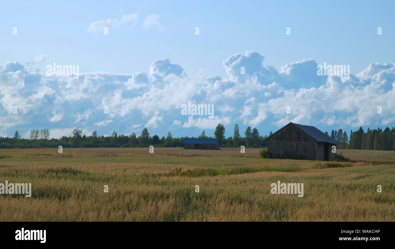 Finnish countryside hi-res stock photography and images - Alamy