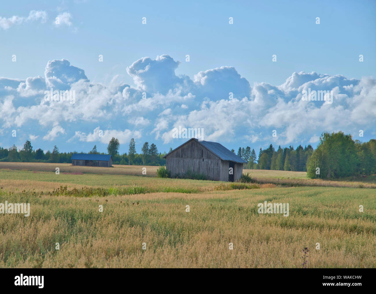 Farming in finland hi-res stock photography and images - Alamy