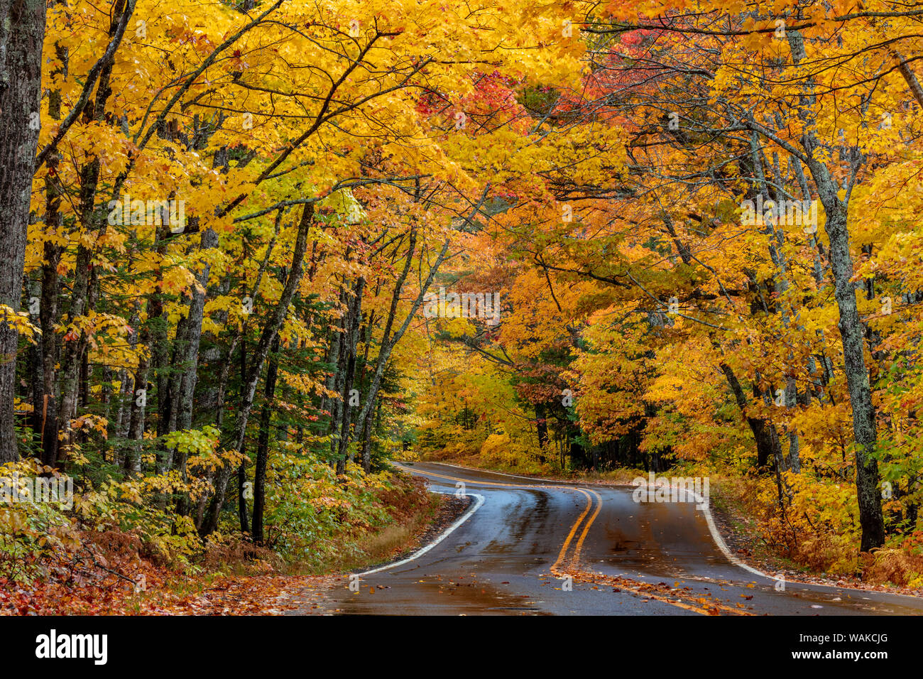 Highway 41 hi-res stock photography and images - Alamy