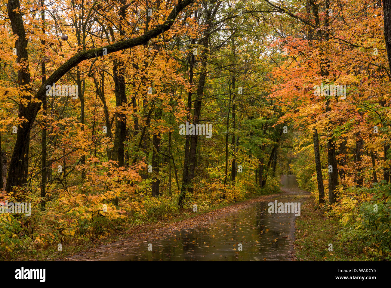 Rapids itasca hi-res stock photography and images - Alamy