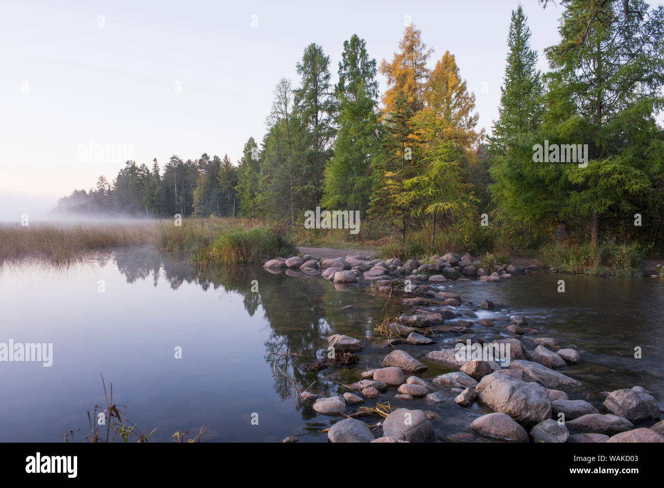 USA, Minnesota, Itasca State Park Stock Photo - Alamy