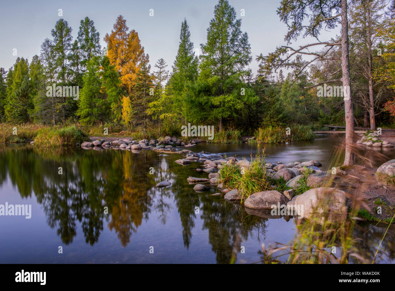 Itasca state park hi-res stock photography and images - Alamy