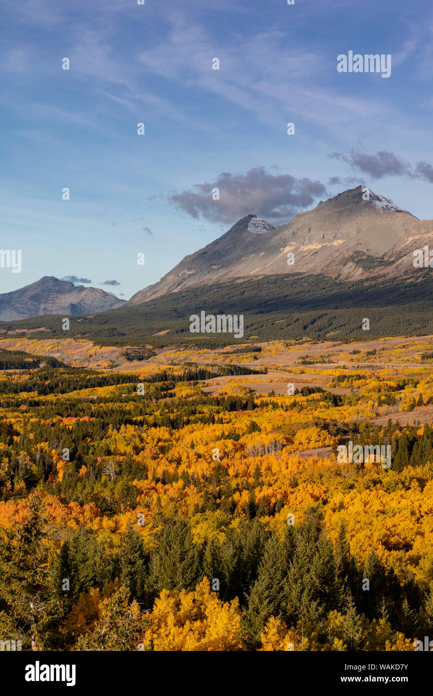 Peak fall color at Marias Pass in Glacier National Park, Montana, USA ...