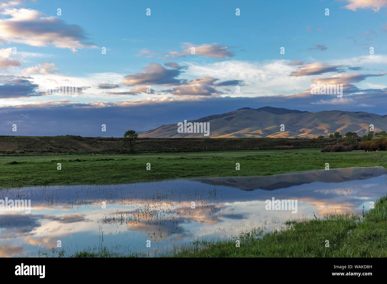 Wetlands pond near Melrose, Montana, USA Stock Photo - Alamy
