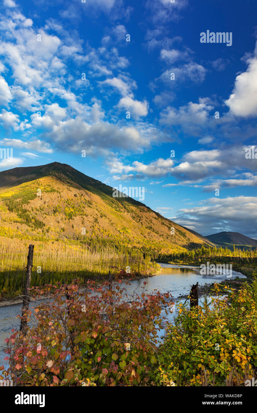 Huckleberry Mountain and The North Fork of the Flathead River in early ...