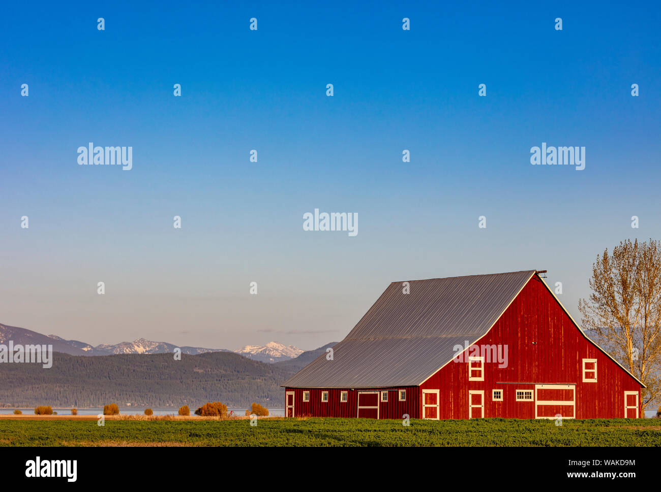 Red barn with Swan Mountains in Somers, Montana, USA Stock Photo - Alamy