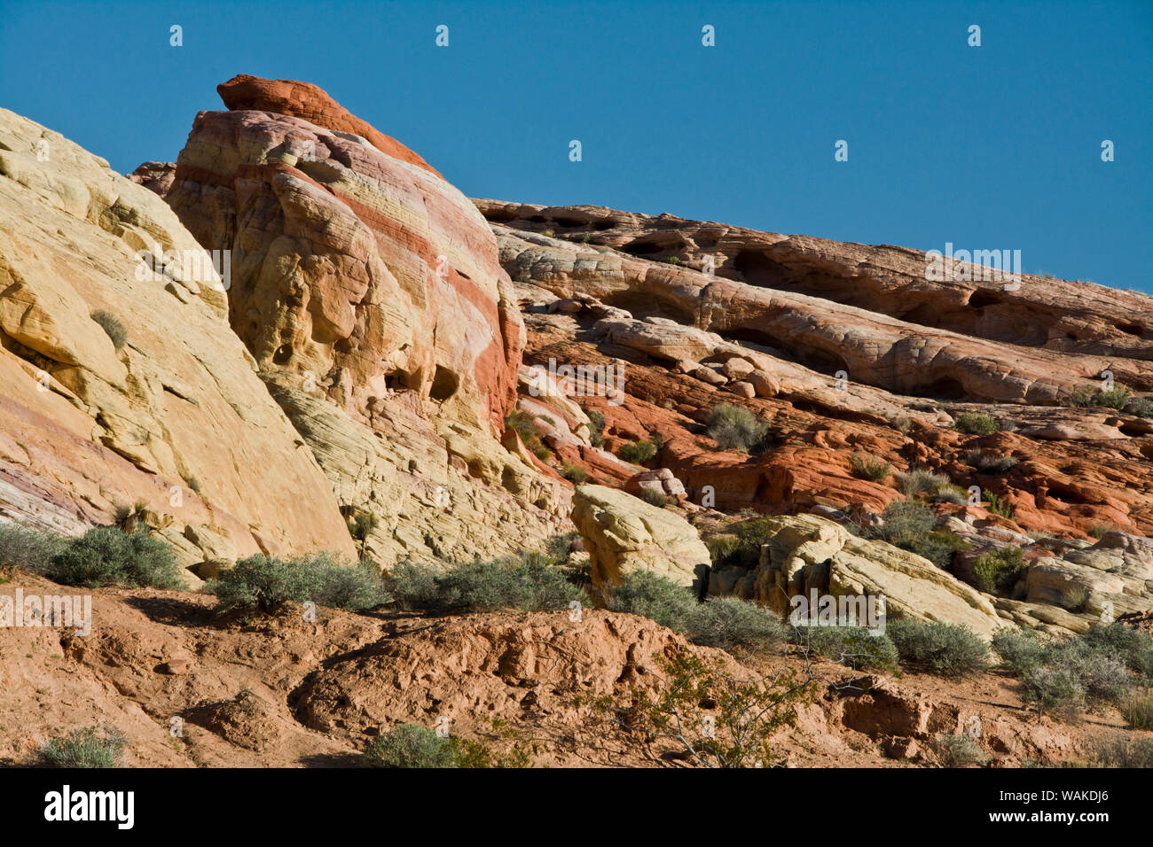 View from Pink Canyon, Valley of Fire State Park, Nevada, USA Stock ...