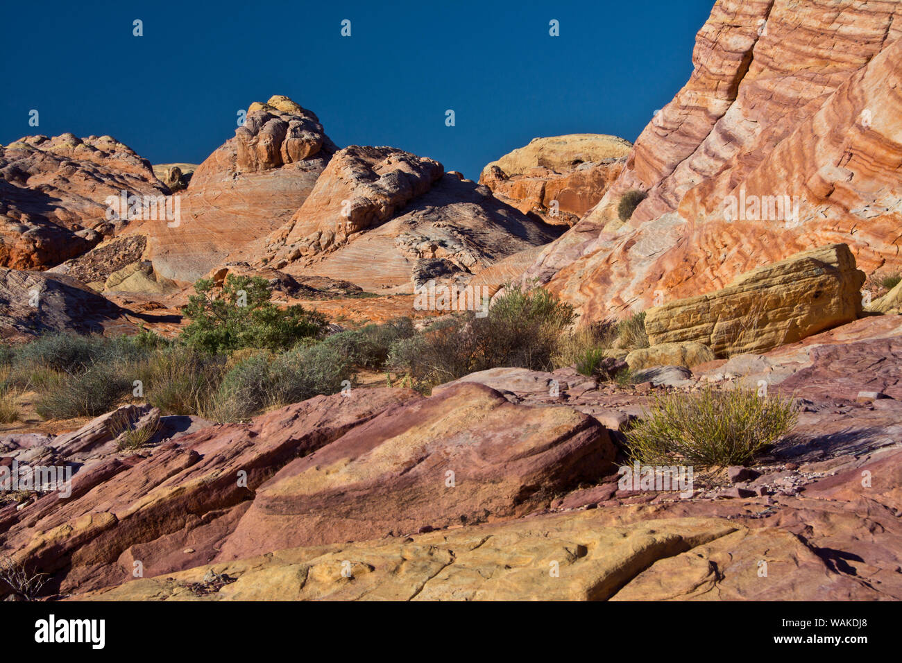 View from Pink Canyon, Valley of Fire State Park, Nevada, USA Stock ...