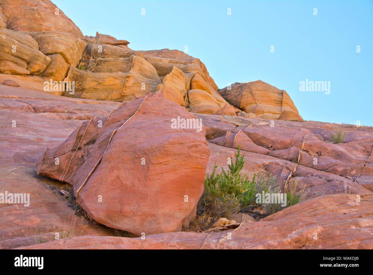 Pink Canyon view, Valley of Fire State Park, Nevada, USA Stock Photo ...