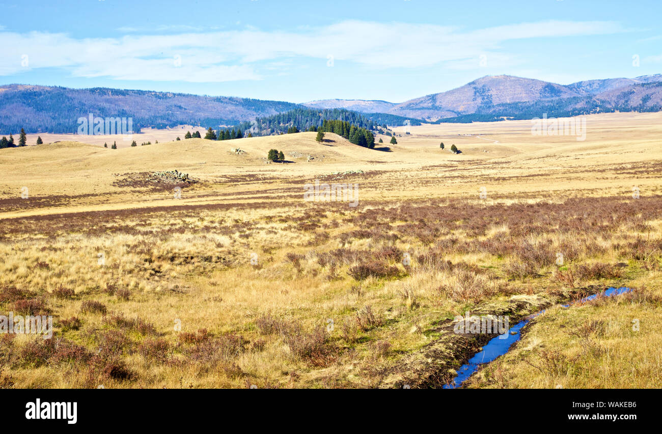 USA, New Mexico, Jemez Mountains in Fall, Valles Caldera National ...