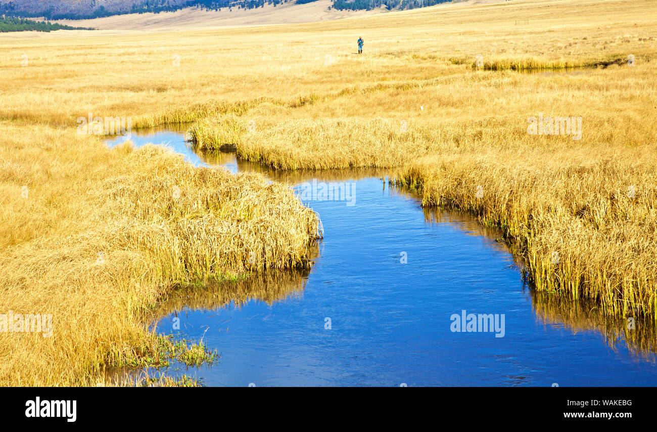 Valles caldera national preserve hi-res stock photography and images ...