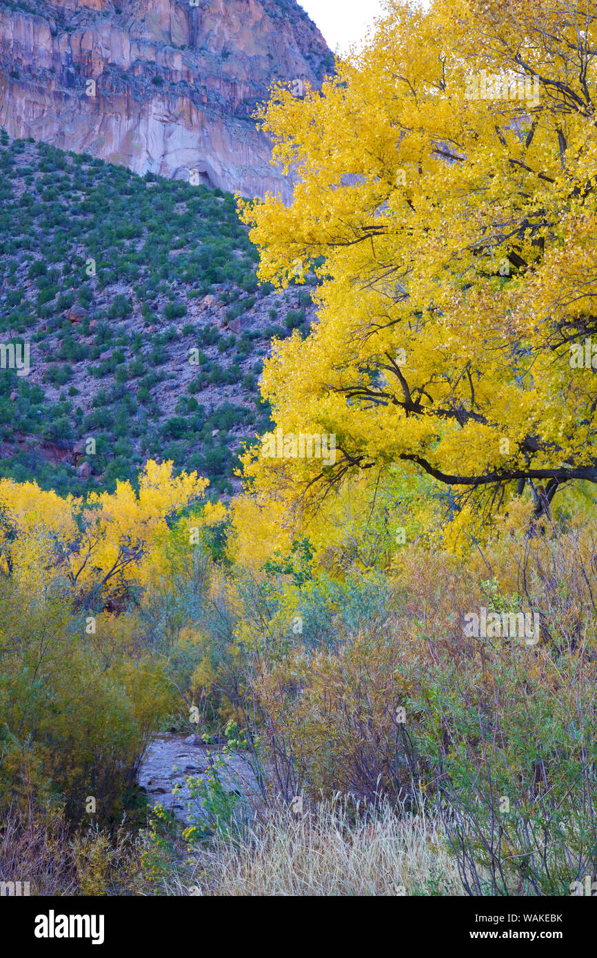 Bosque river hi-res stock photography and images - Alamy