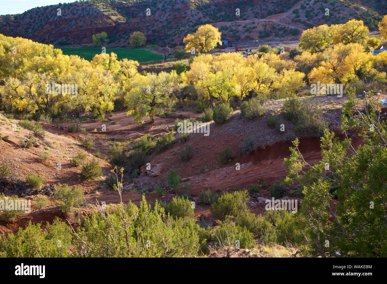 Bosque river hi-res stock photography and images - Alamy