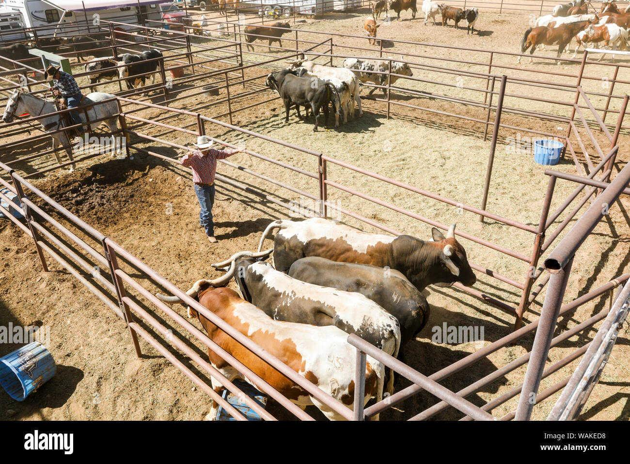 Taos, New Mexico, USA. Small town rodeo Stock Photo - Alamy
