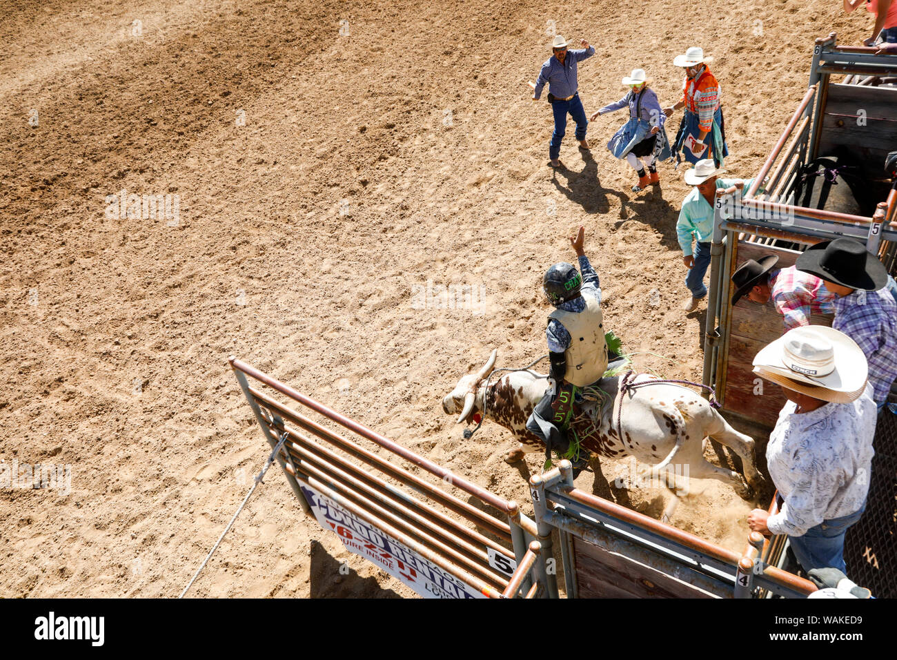 Taos, New Mexico, USA. Small town rodeo Stock Photo - Alamy