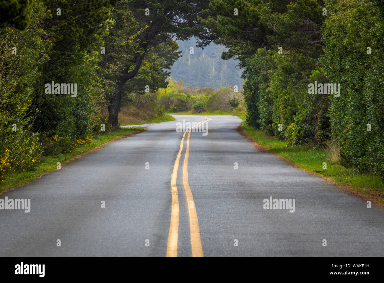 Arch over road hi-res stock photography and images - Alamy